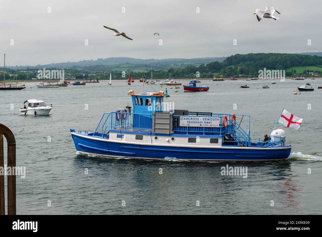The Starcross Ferry crossing from Exmouth to Dawlish Warren, Exmouth ...