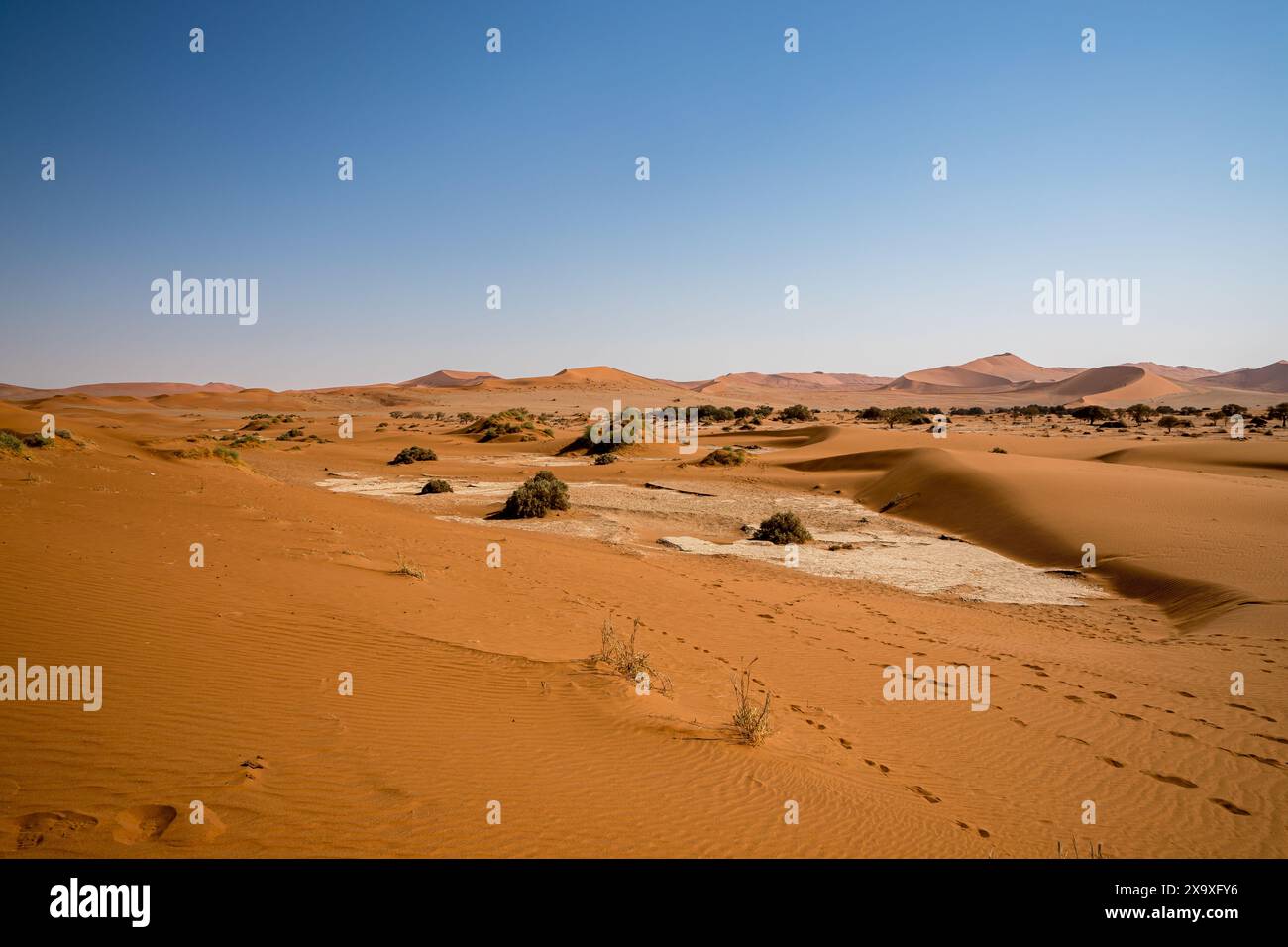 Namibia, Hardap Region, Sesriem, Sossusvlei, Clay and sand dunes Stock ...