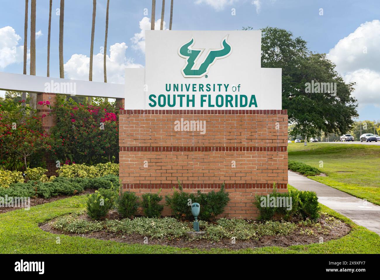 The University of South Florida is a public research university with ...