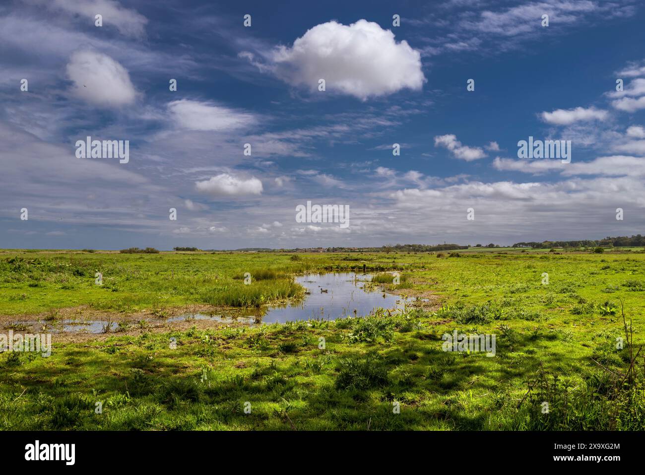 Holkham bay nature reserve hi-res stock photography and images - Alamy