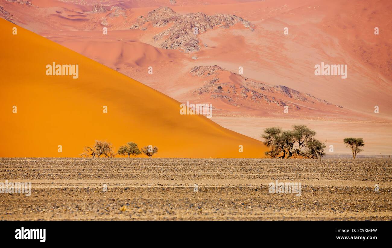 Namibia, Hardap Region, Sesriem, Sossusvlei, Different colours of the dunes Stock Photo - Alamy
