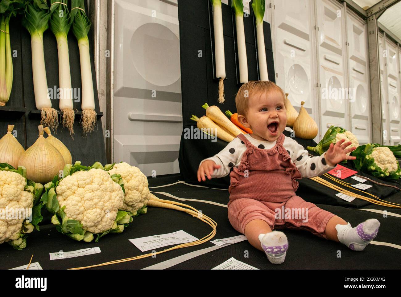 8 month old Ludovica is sitting with huge cauliflowers and leeks at the ...