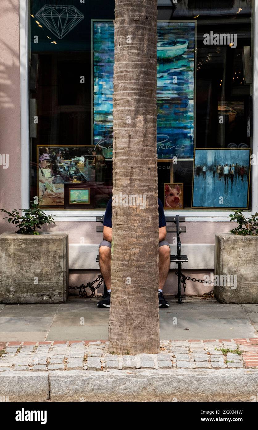 A man sits on a bench exactly behind a large tree so that only his ...