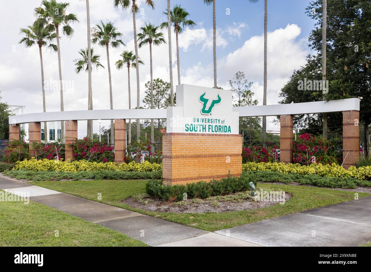 The University of South Florida is a public research university with ...
