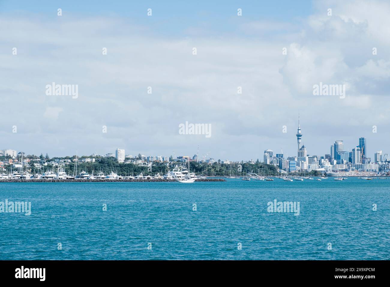 Mission bay auckland new zealand hi-res stock photography and images ...