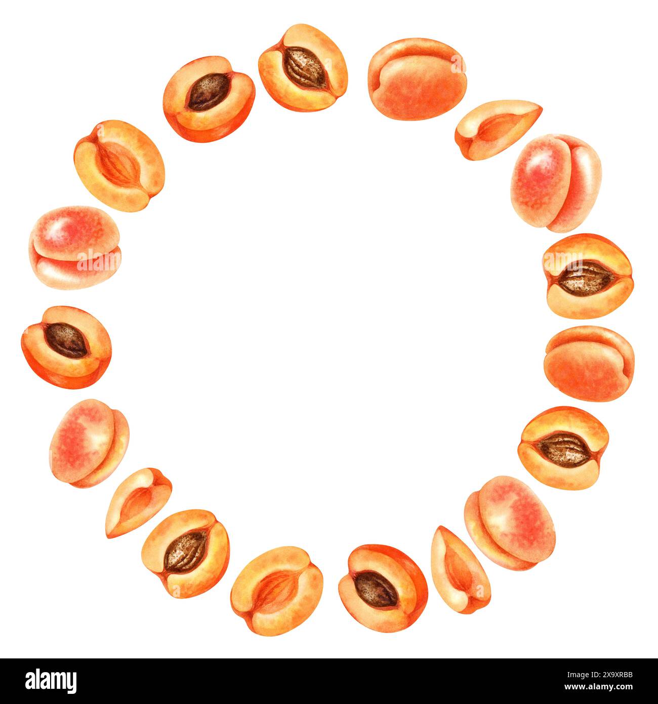 Round fruit frame of ripe orange-pink apricots with green leaves, brown ...