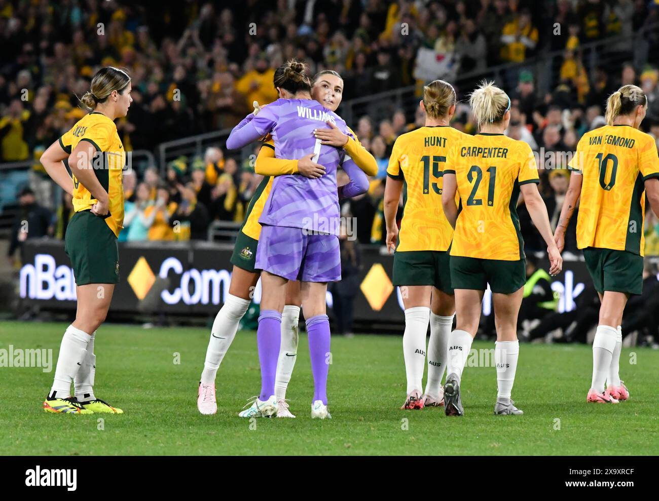 Catley australia hi-res stock photography and images - Alamy