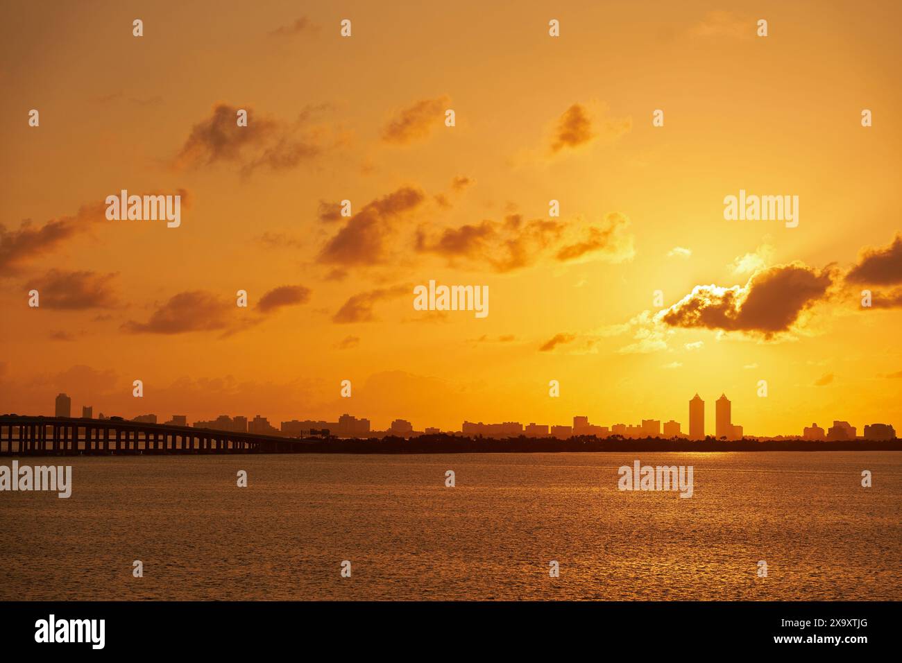 Cityscape miami port boats in hi-res stock photography and images - Alamy