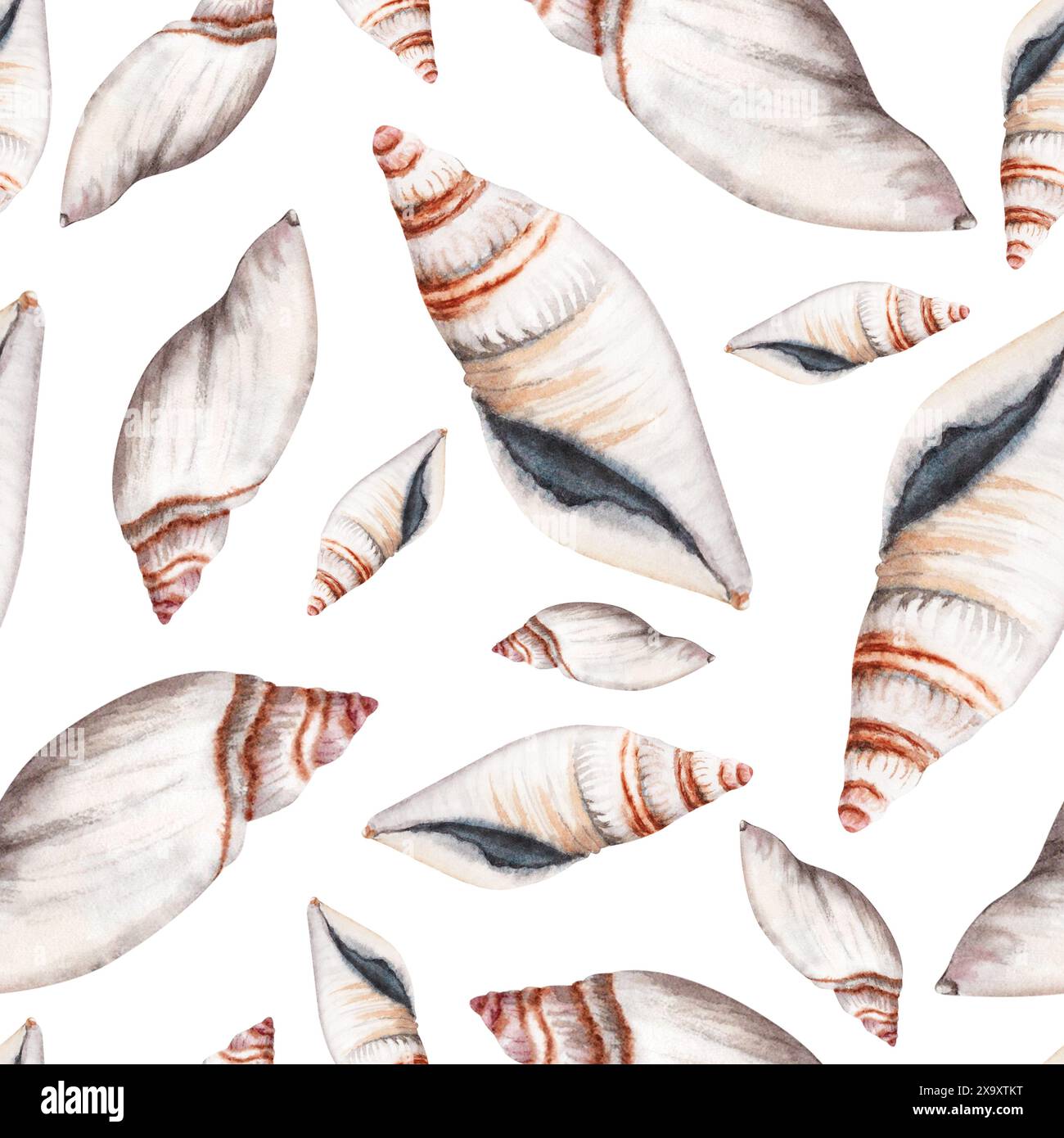 White seashell seamless pattern. Ocean coral reef wallpaper. Hand drawn ...