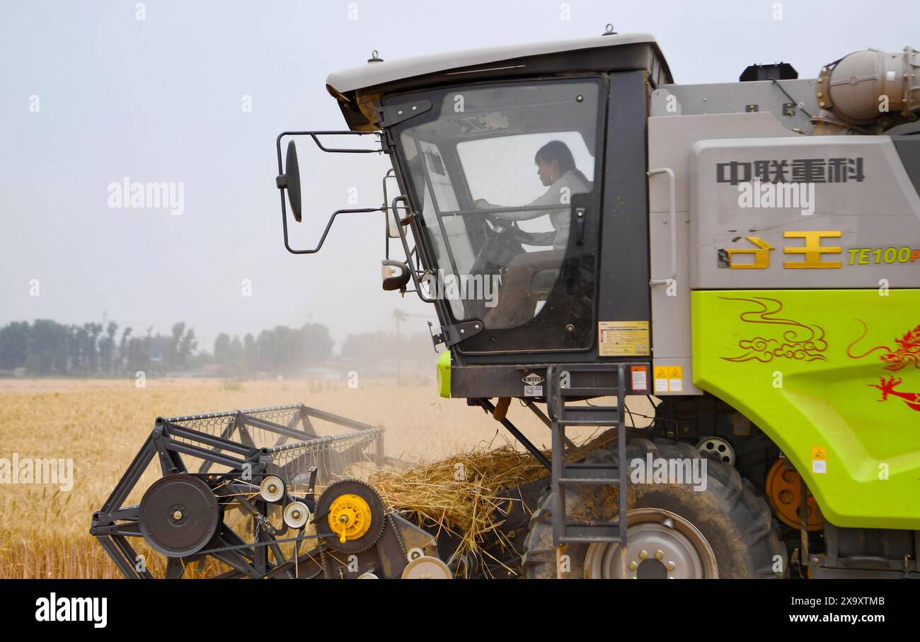 (240603) -- ZHENGZHOU, June 3, 2024 (Xinhua) -- Du Mengyuan operates a ...