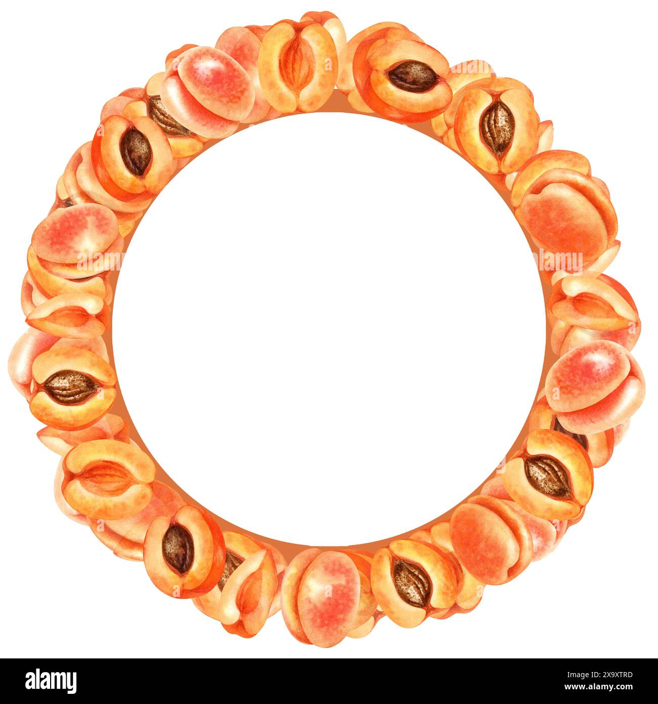 Round fruit frame of ripe orange-pink apricots with green leaves, brown ...