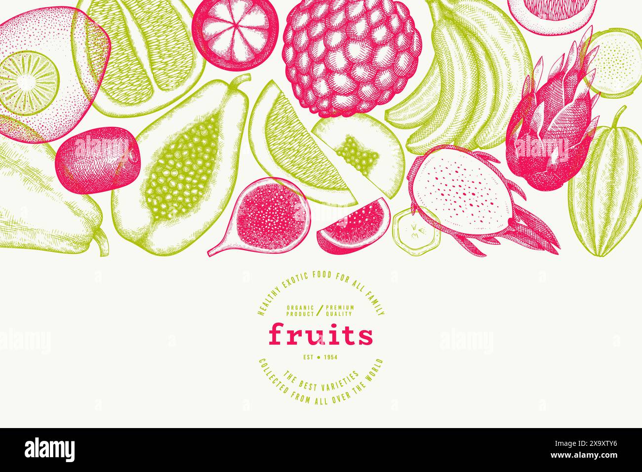 Tropical Fruit Design Template. Vector Hand Drawn Exotic Fruit Banner ...