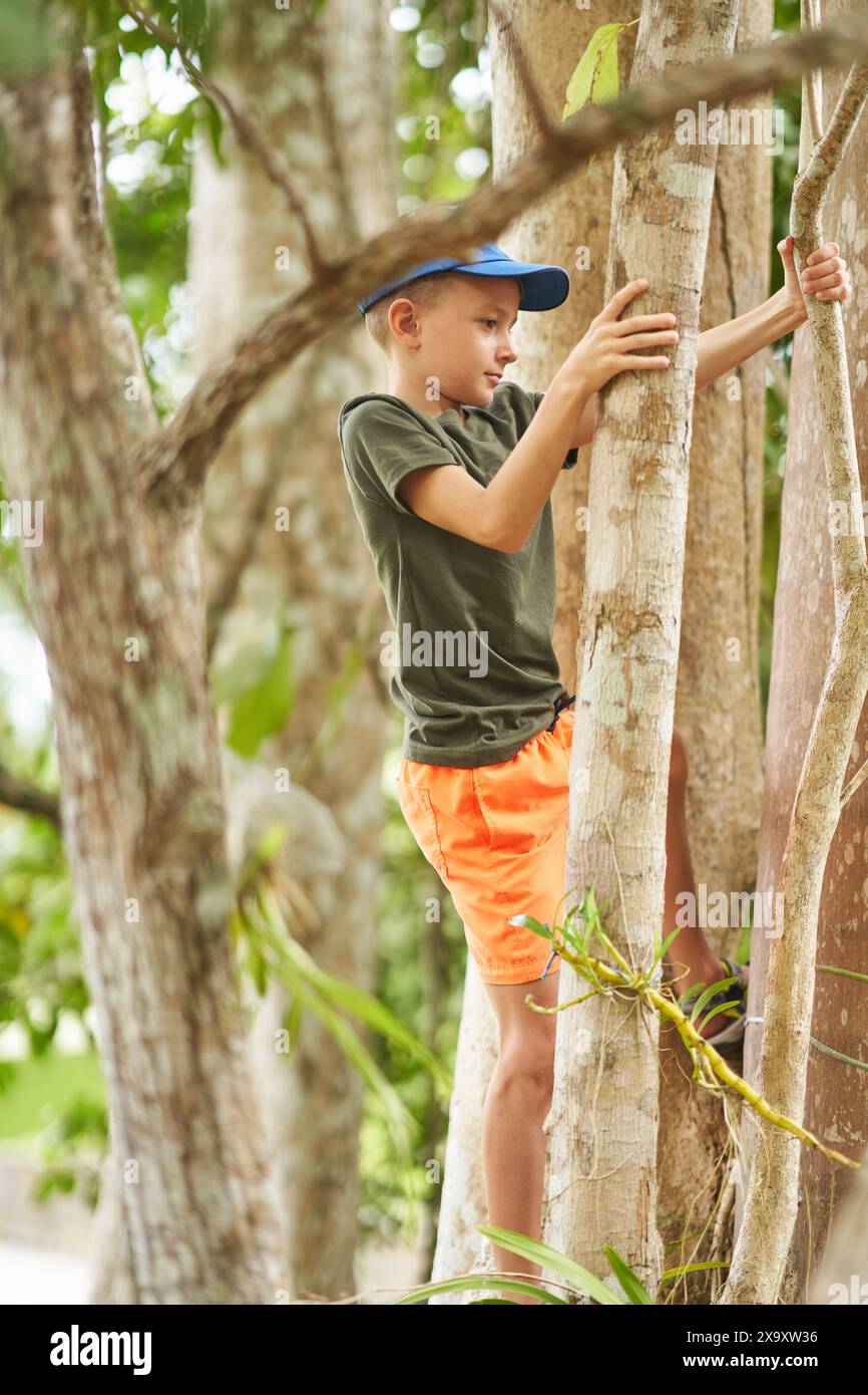 Photo of boy climbing trees in the jungle Stock Photo - Alamy
