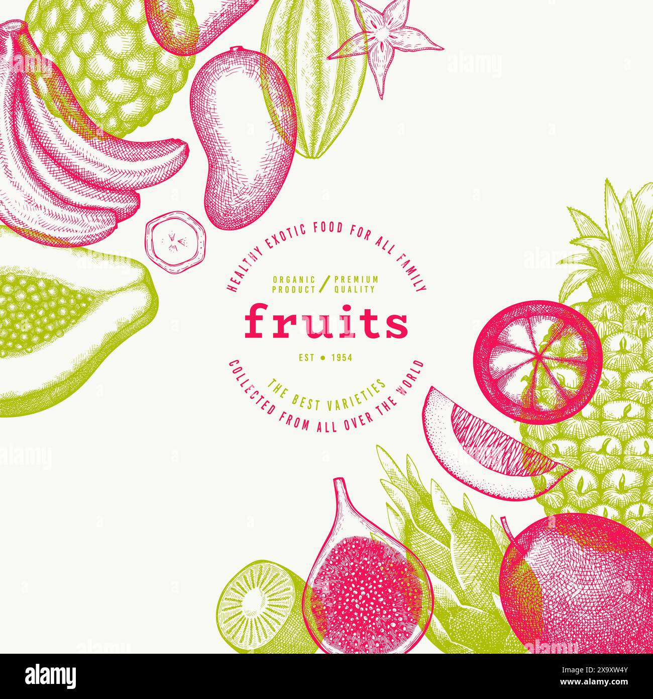 Tropical Fruit Design Template. Vector Hand Drawn Exotic Fruit Banner ...