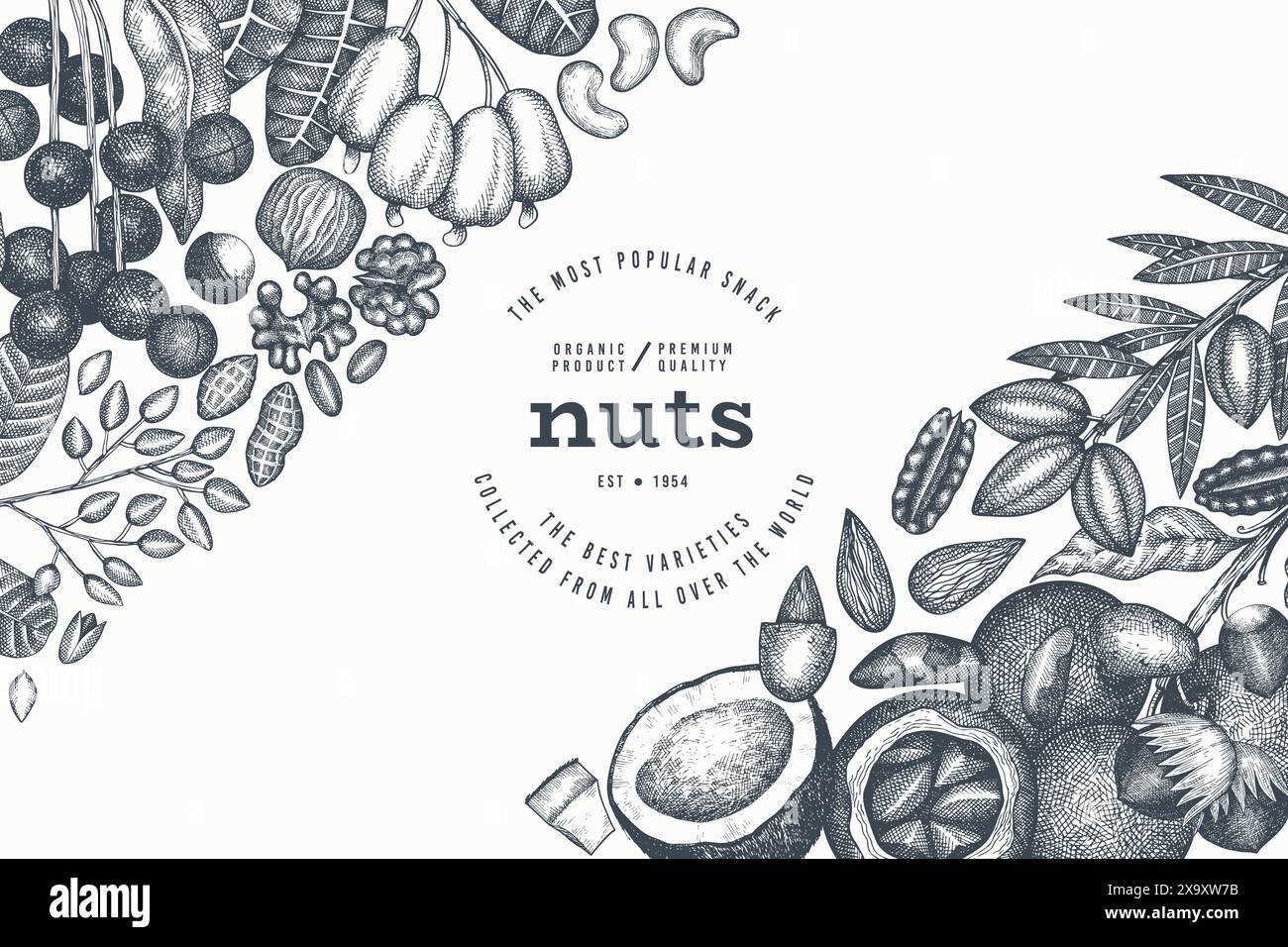 Hand Drawn Nuts Branch And Kernels Template. Organic Seed Vector Design ...