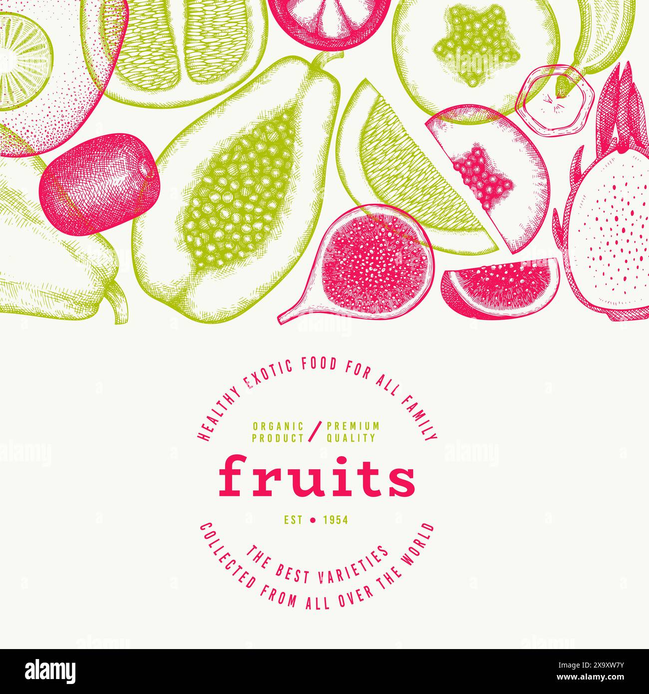 Tropical Fruit Design Template. Vector Hand Drawn Exotic Fruit Banner ...