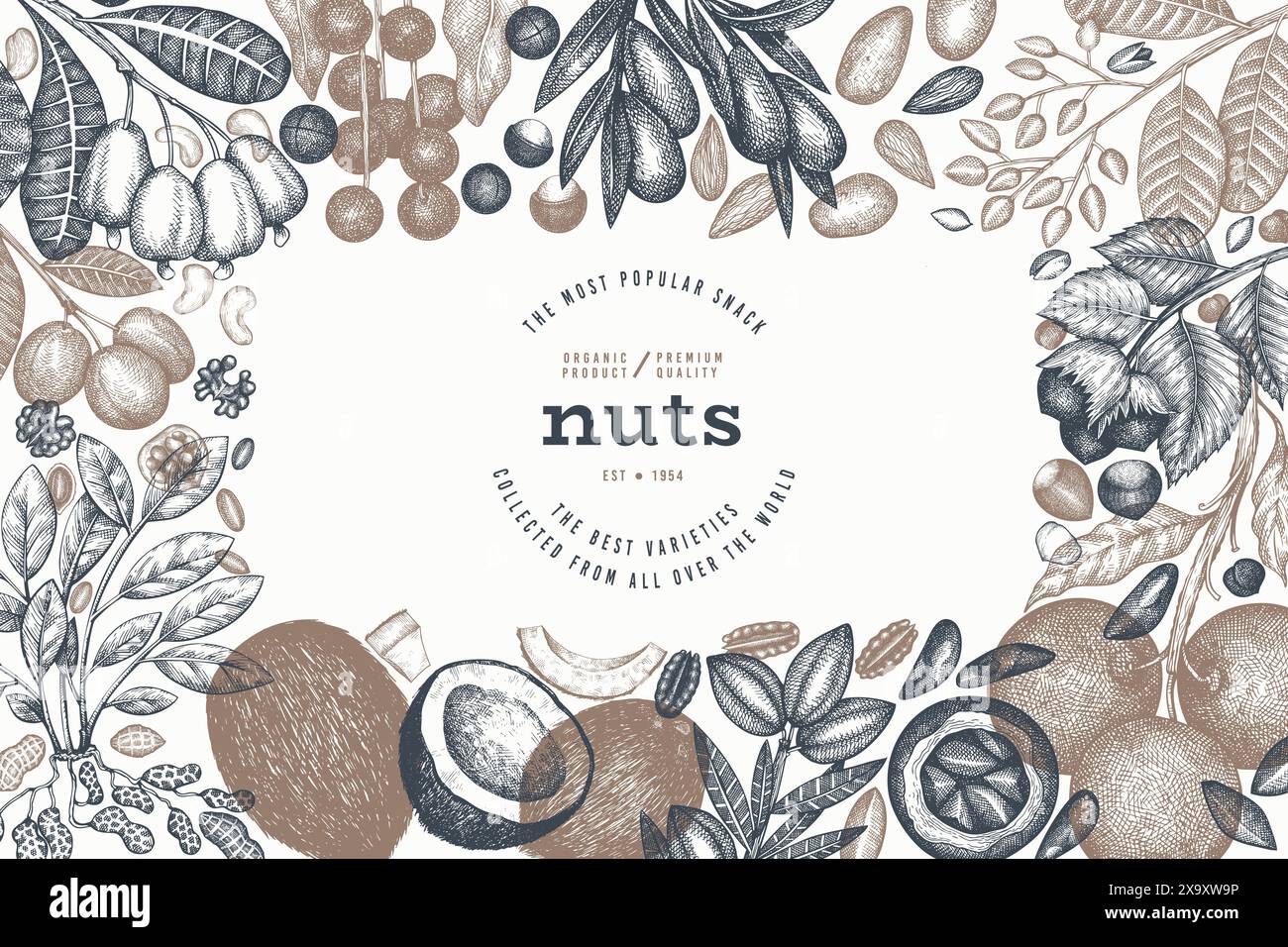 Hand Drawn Nuts Branch And Kernels Template. Organic Seed Vector Design ...