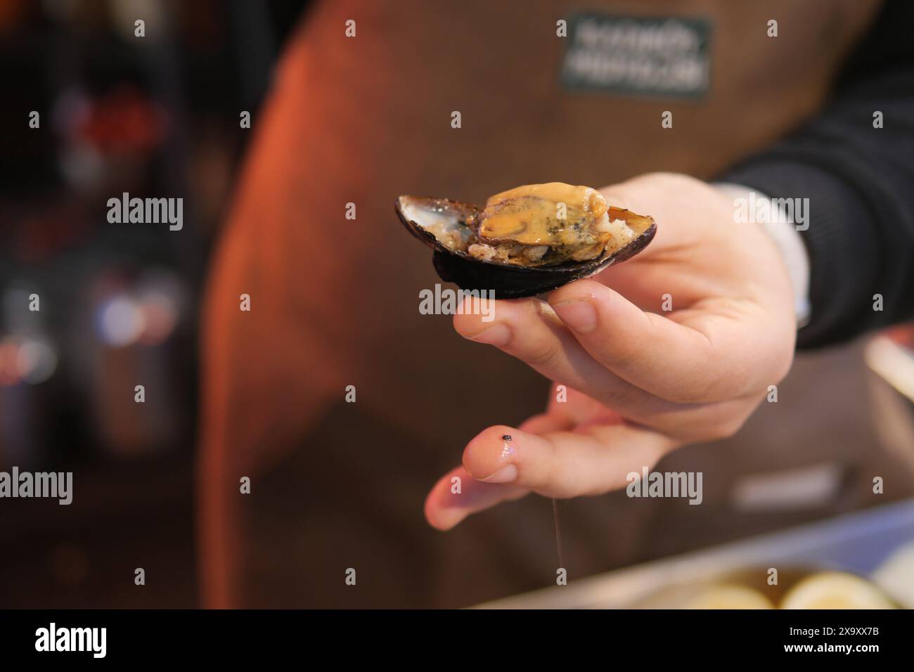 Freshly shucked mussel at seafood market. Keywords mussel, seafood ...