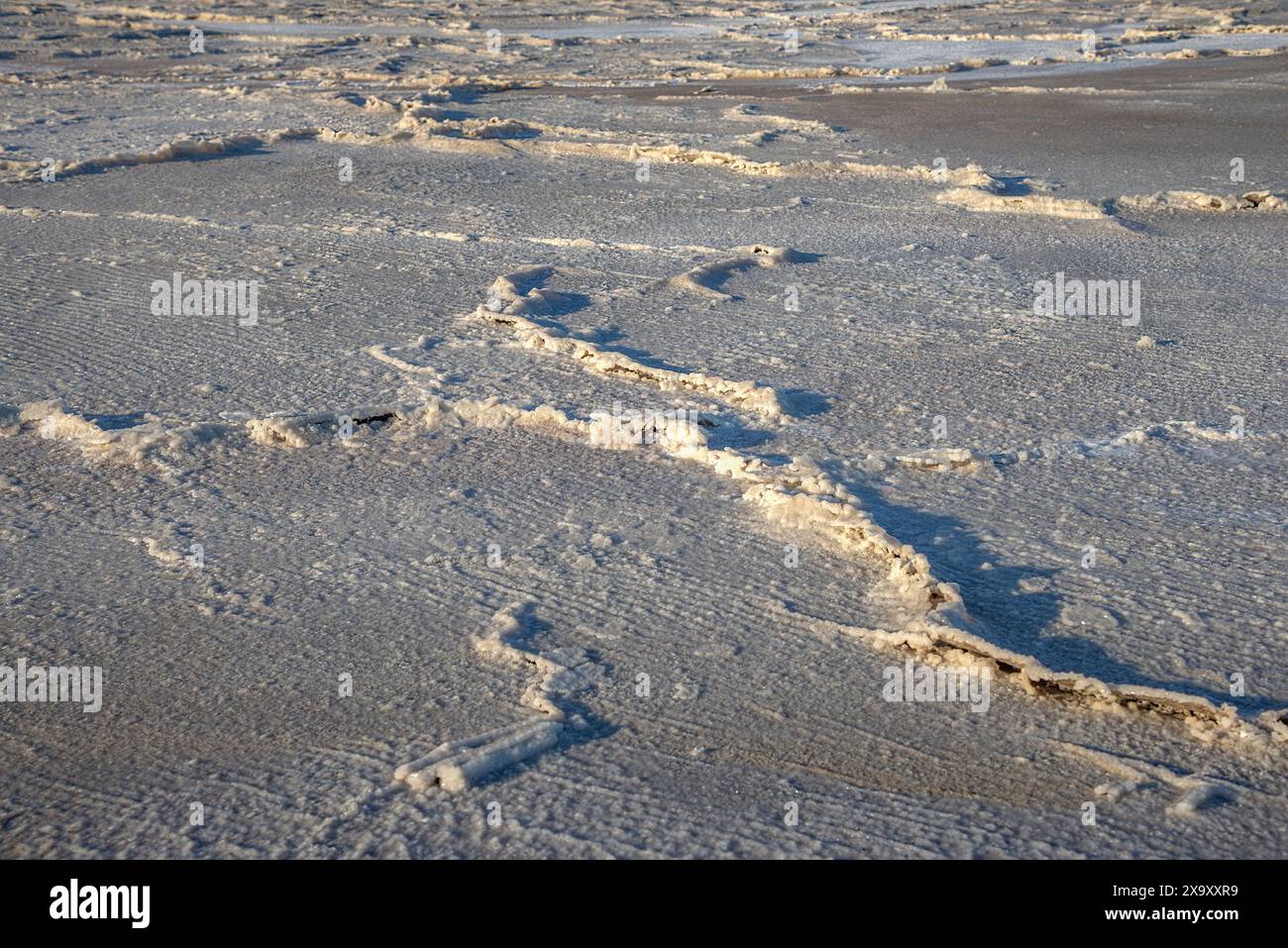 Salt growths on the surface of Lake Baskunchak, Astrakhan region ...