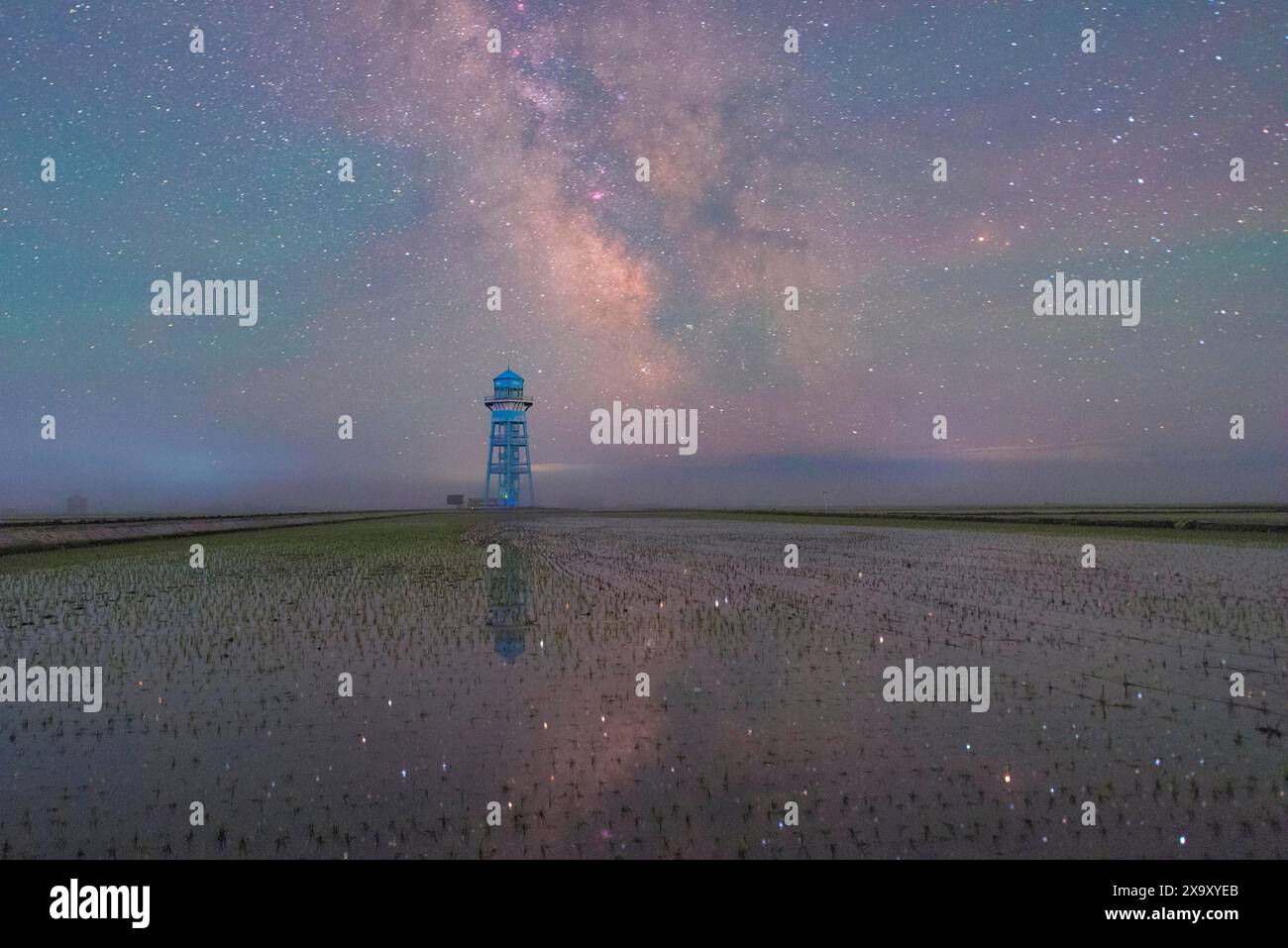 Harbin. 2nd June, 2024. This photo taken on June 2, 2024 shows a paddy ...