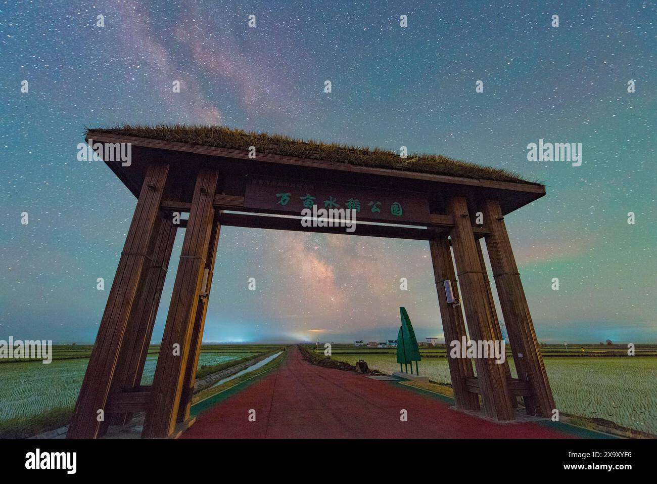 Harbin. 1st June, 2024. This photo taken on June 1, 2024 shows a paddy ...