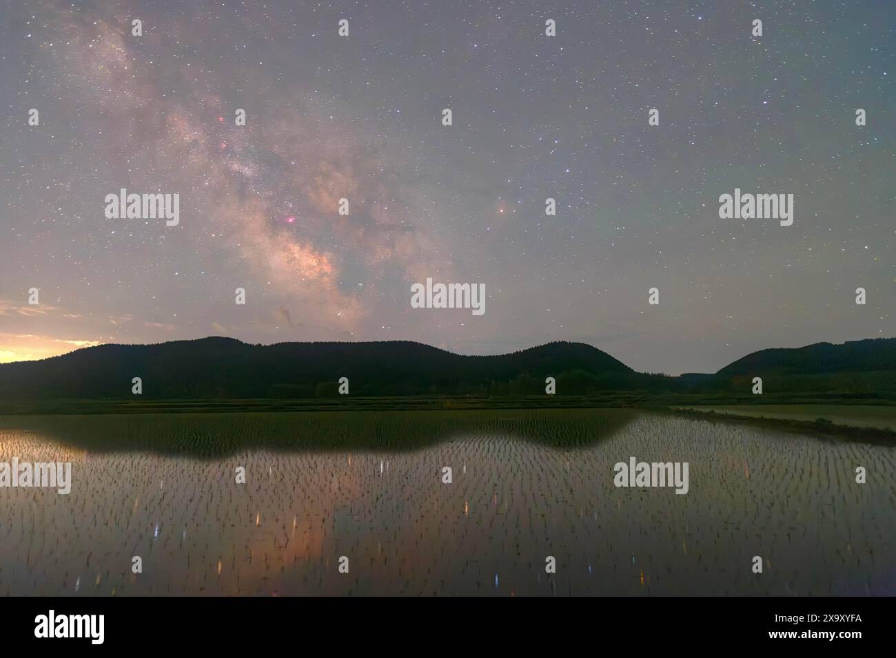 Harbin. 2nd June, 2024. This photo taken on June 2, 2024 shows paddy ...