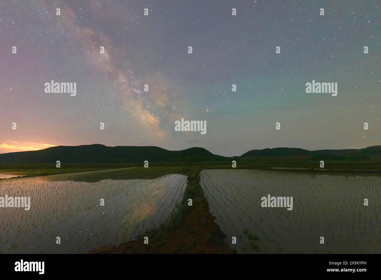 Harbin. 2nd June, 2024. This photo taken on June 2, 2024 shows paddy ...