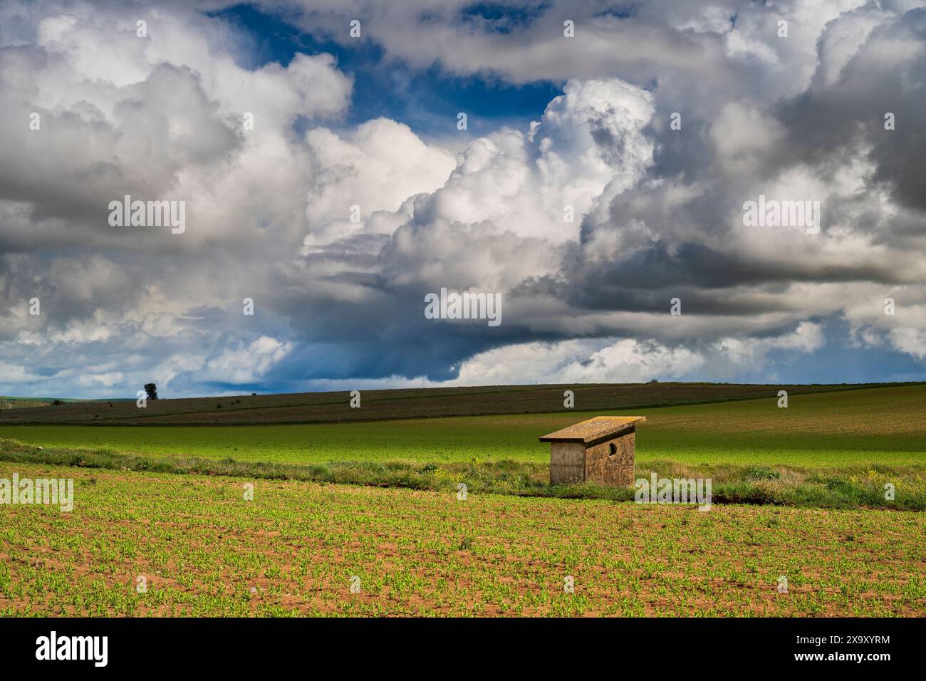 Rolling hills landscape, Andalusia, Spain, Castile and Leon, Spain ...