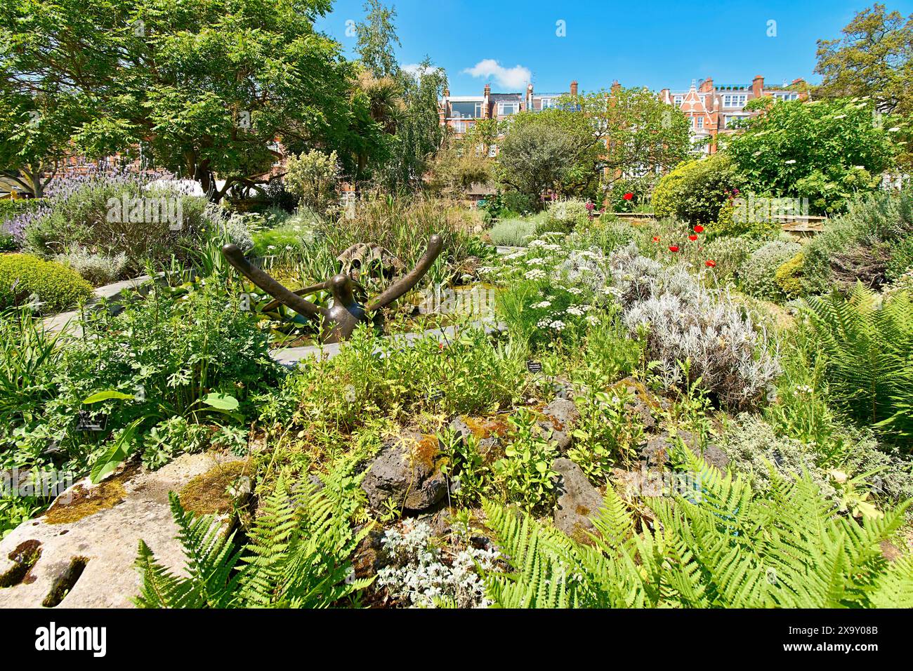 Chelsea physic gardens hi-res stock photography and images - Alamy