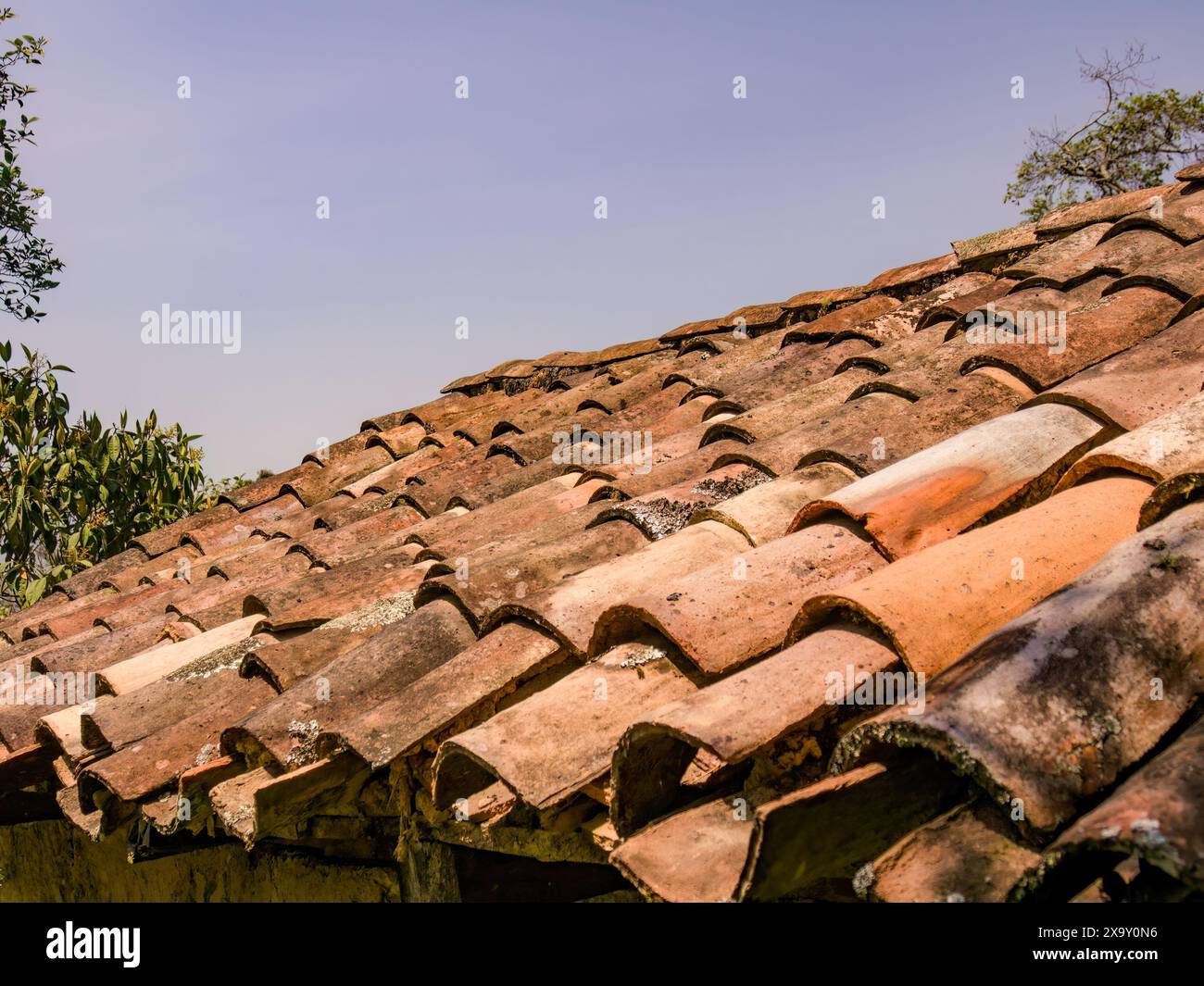 The old traditional clay tile roof of an ancient shed, in a farm in the ...
