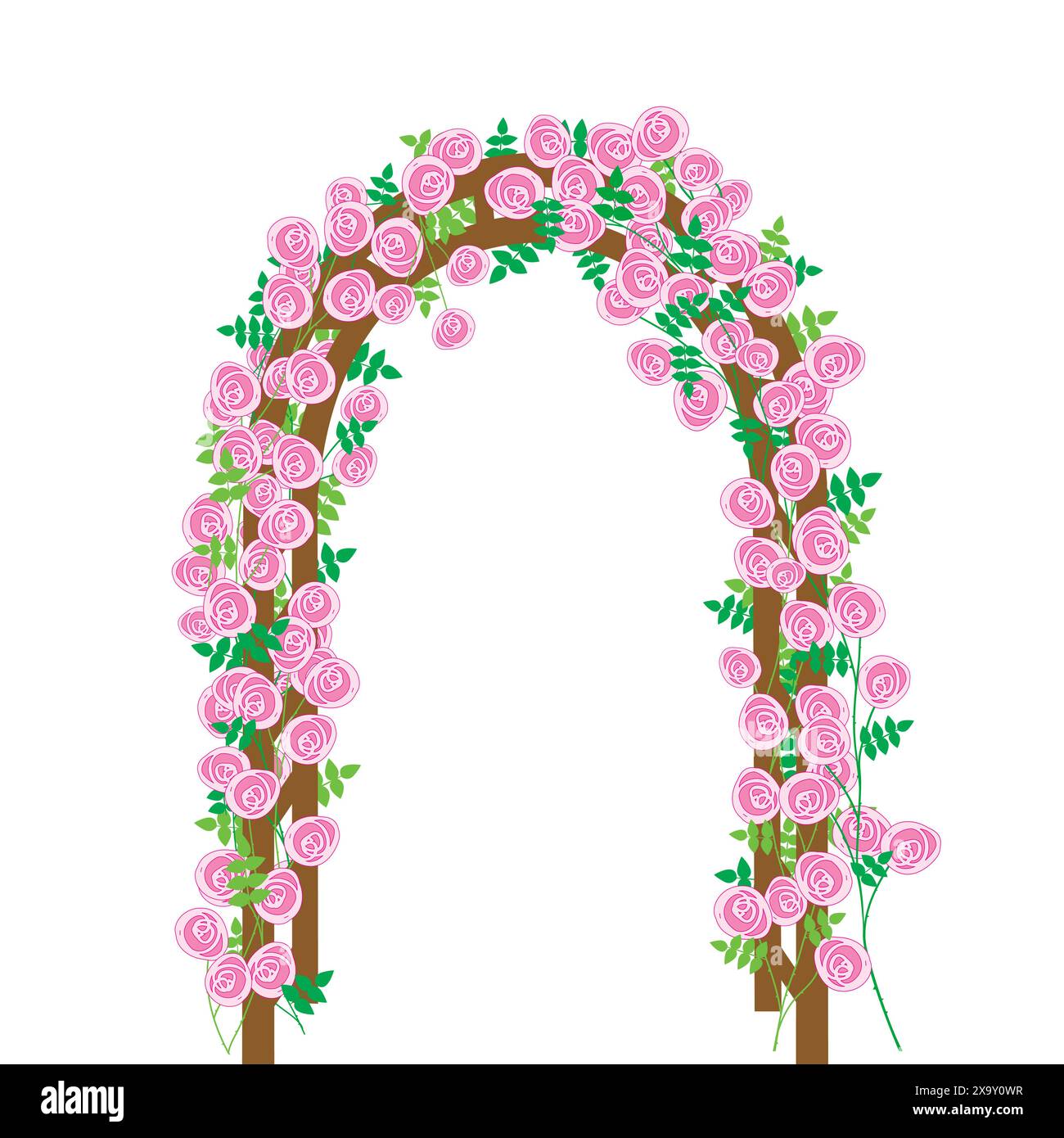 Eden climber rose Stock Vector Images - Alamy