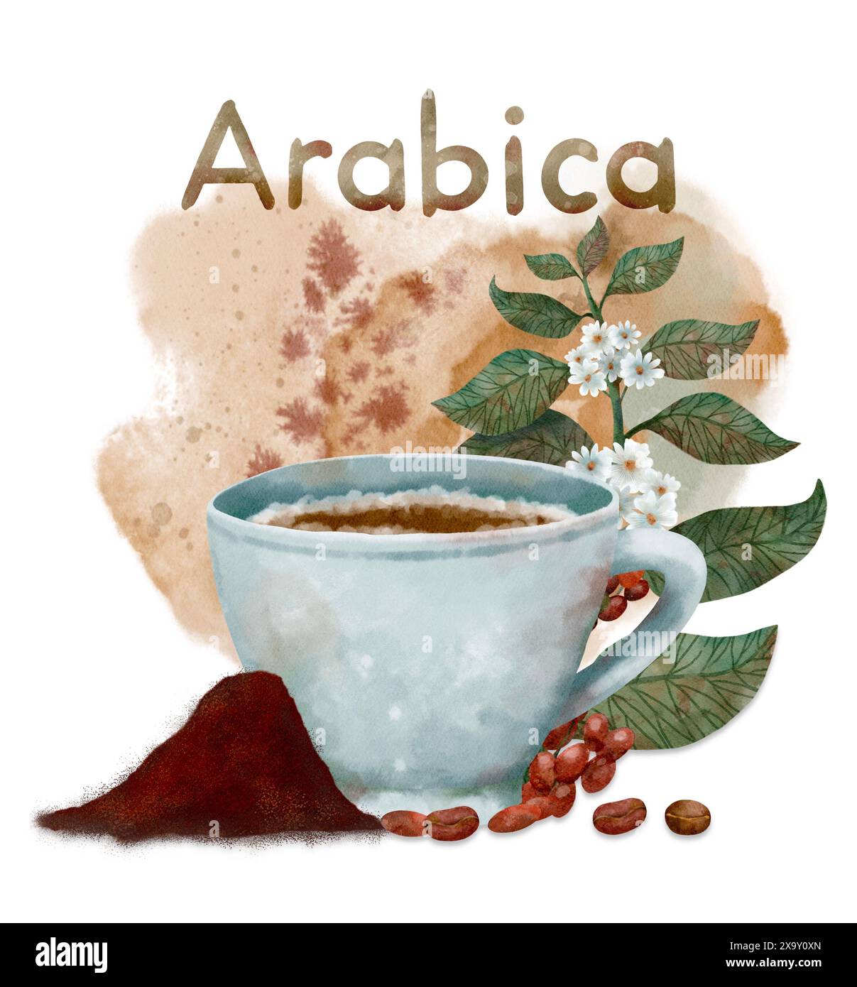 Hand-drawn Arabica coffee illustration featuring a cup, beans, and ...