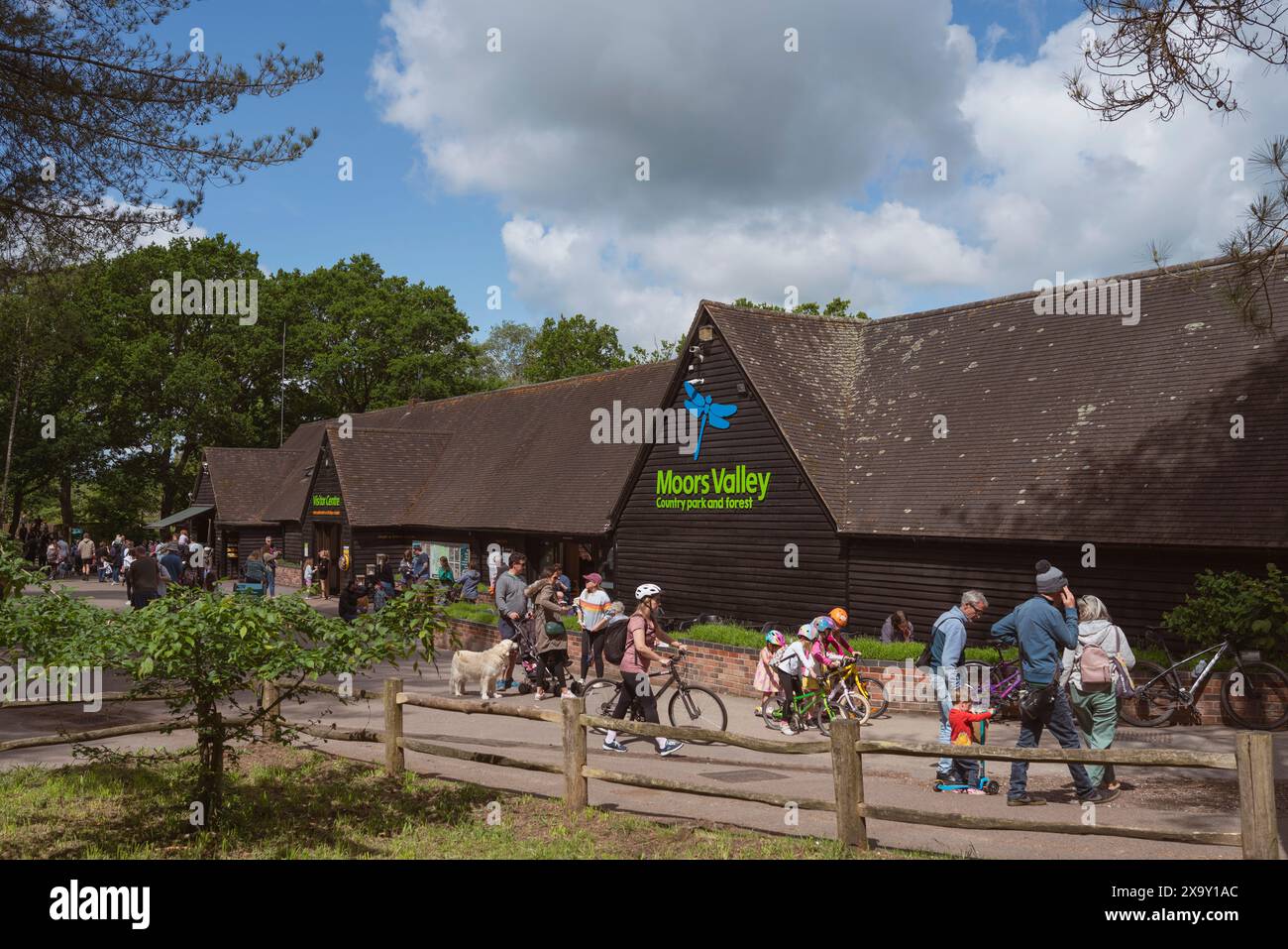 Moors Valley Country Park, Ashley Heath, Dorset, on a sunny day. The ...