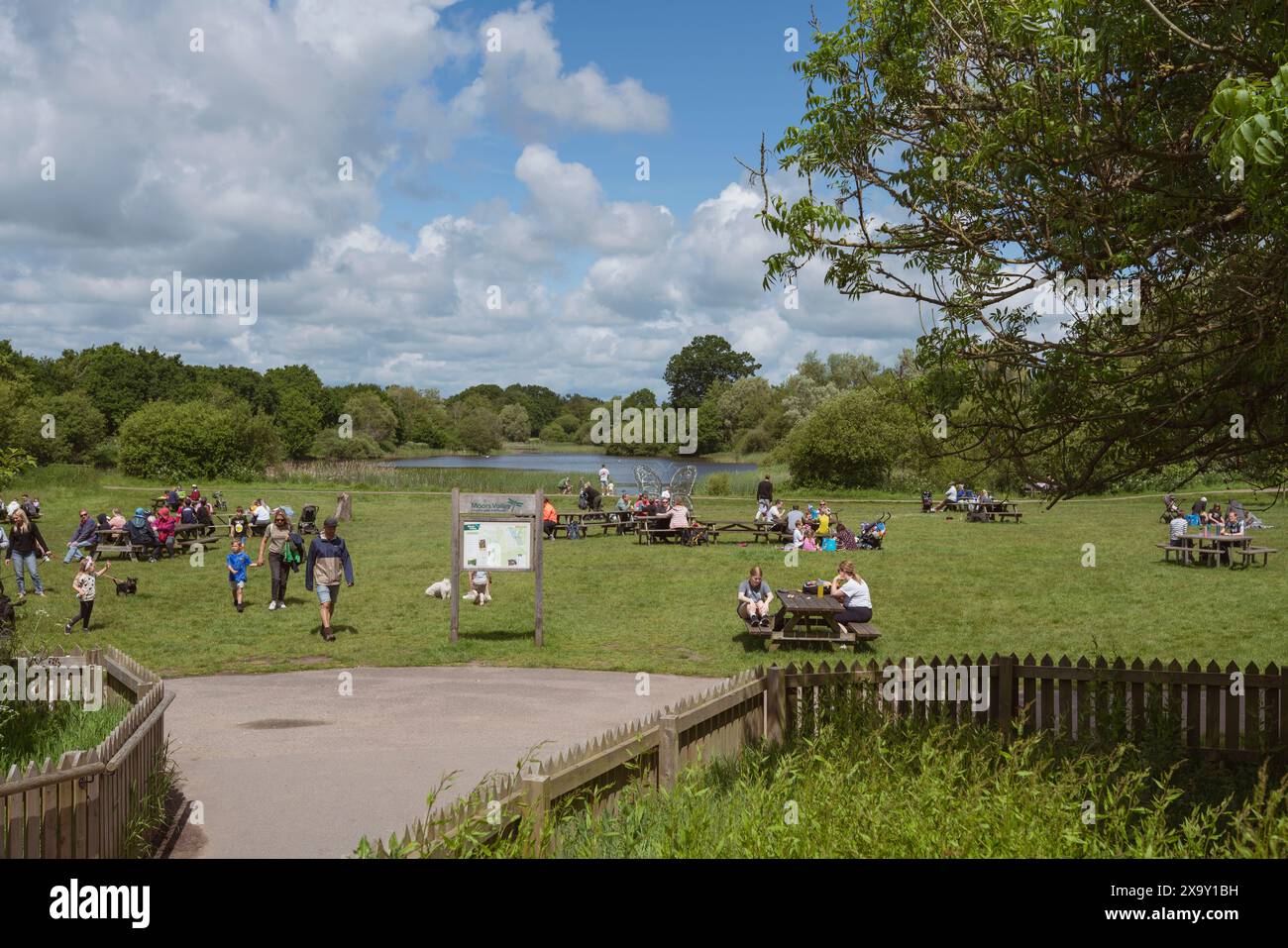 Moors Valley Country Park, Ashley Heath, Dorset, on a sunny day. The ...