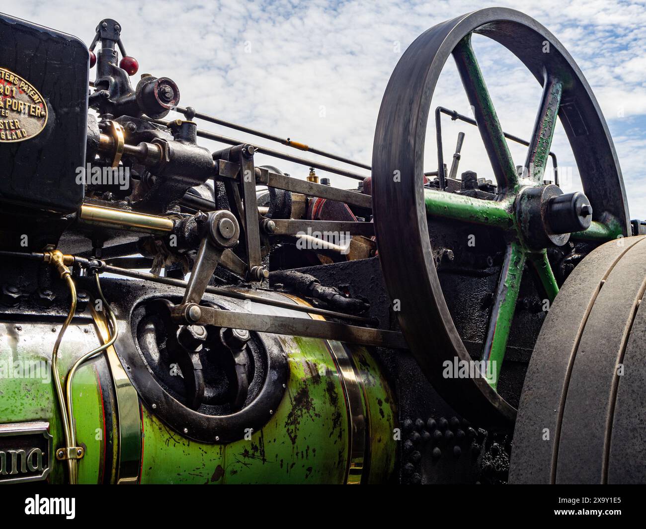 Thomas Weekes and Sons Sheers Barton Lawwhitton Green and gold coloured ...