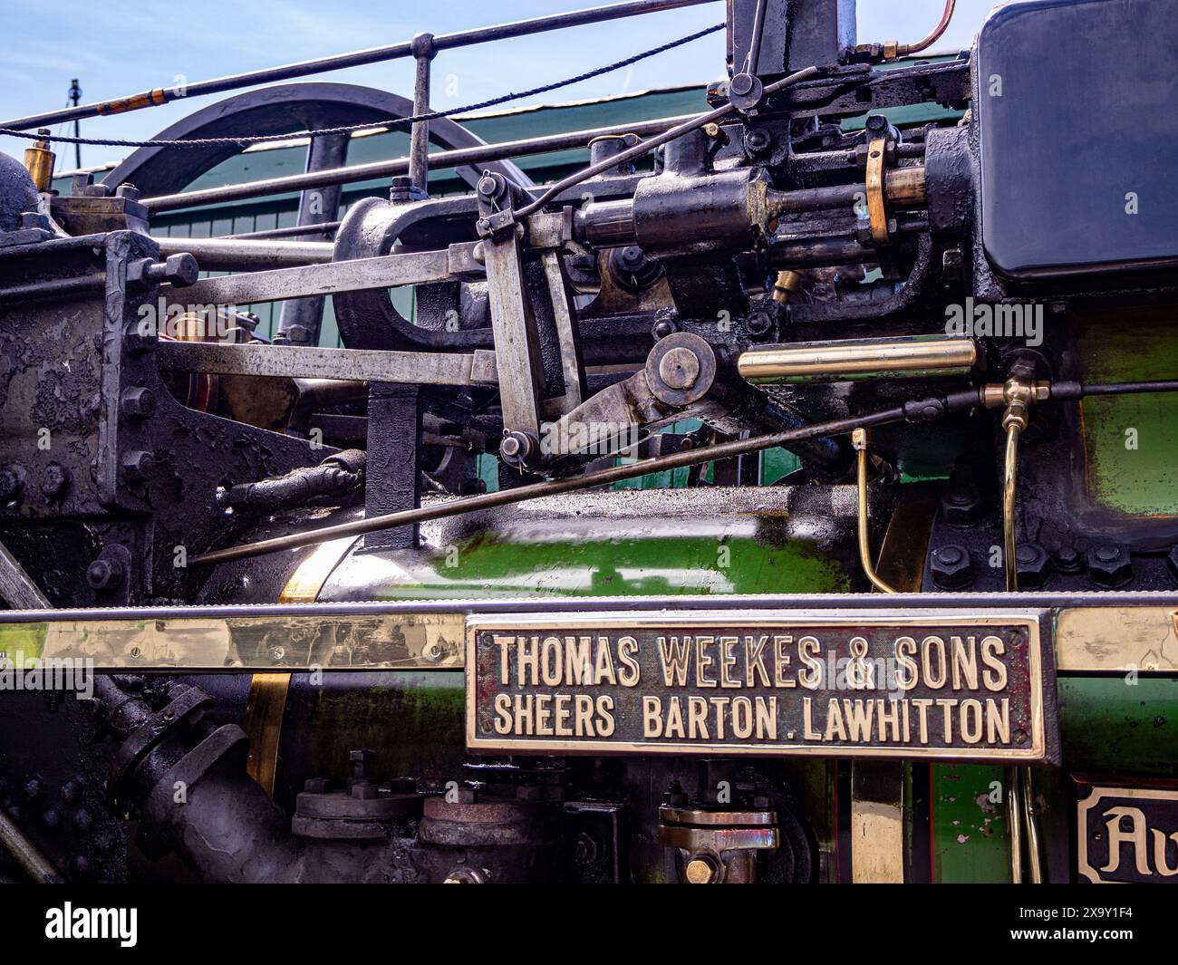 Thomas Weekes and Sons Sheers Barton Lawwhitton Green and gold coloured ...