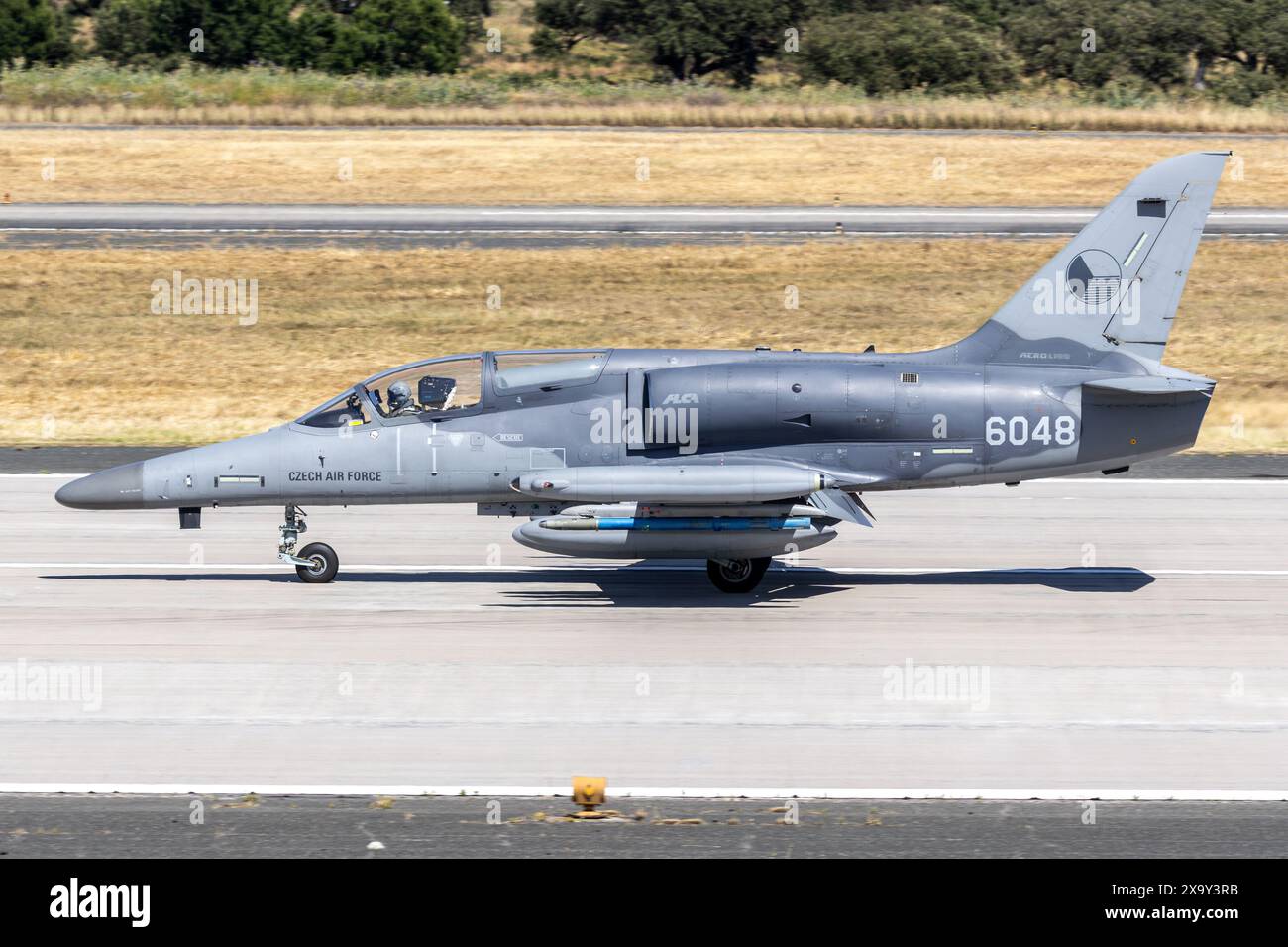 159 alca hi-res stock photography and images - Alamy