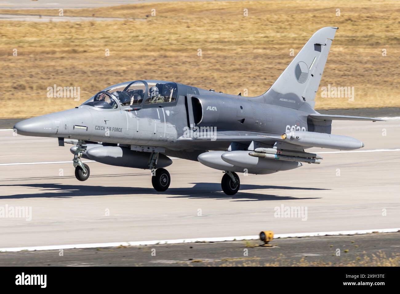 159 alca hi-res stock photography and images - Alamy