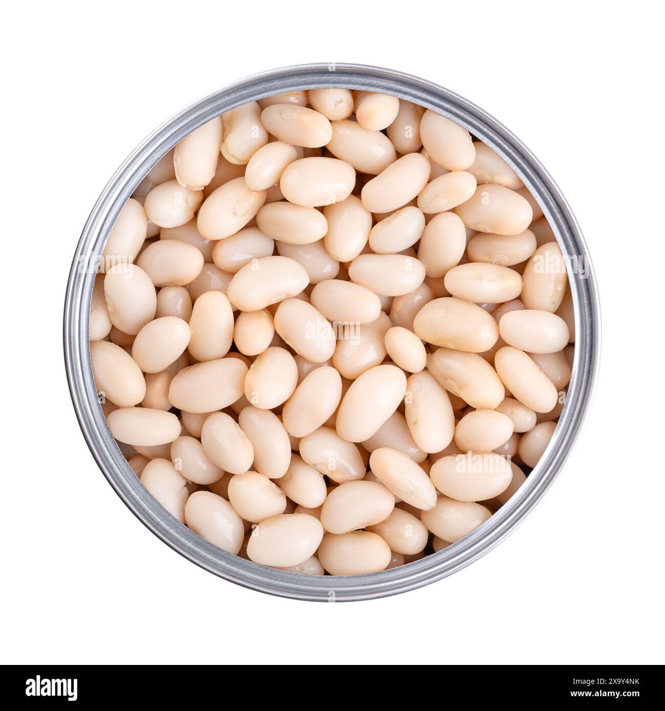 White kidney beans in an opened can. Cooked and canned cannellini beans ...