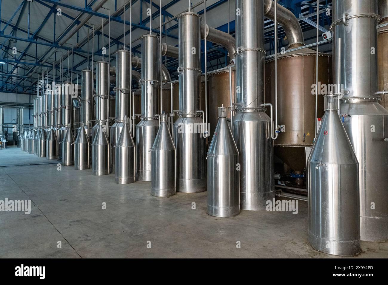 Industrial turkey production in hi-res stock photography and images - Alamy