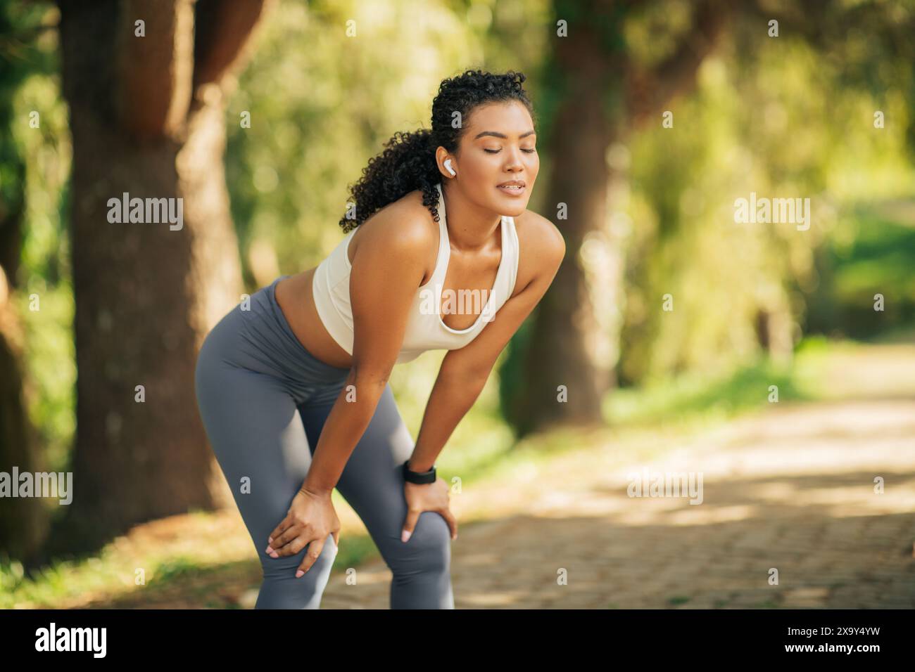 Woman Taking Break During Outdoor Jog on Sunlit Forest Trail Stock ...