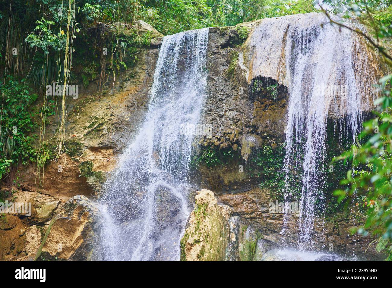 Photo of Gozalandia Waterfall in Puerto Rico Stock Photo - Alamy