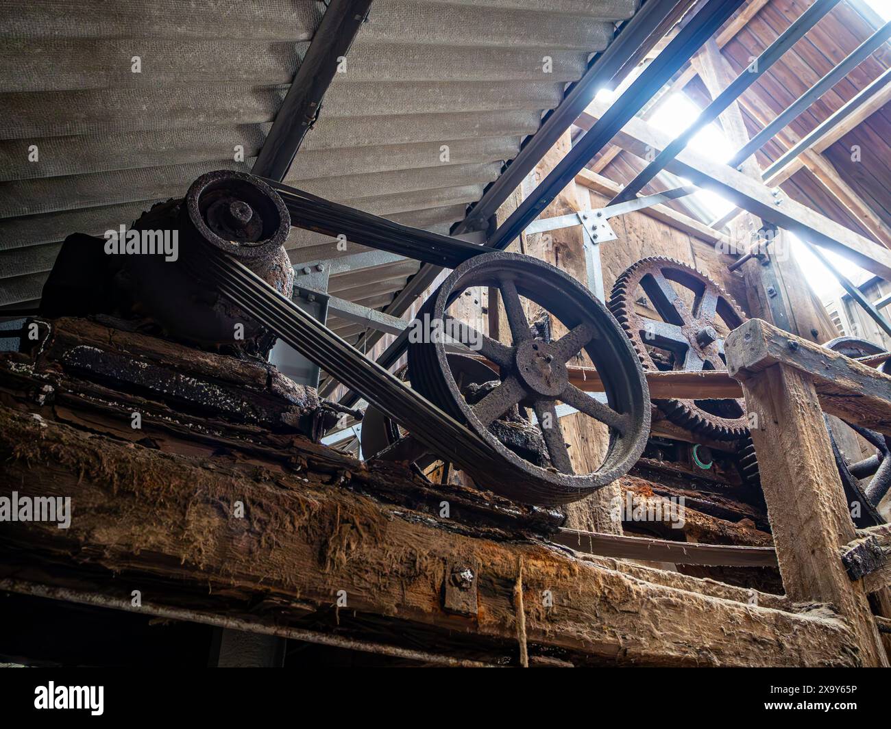 Lion salt works hi-res stock photography and images - Alamy