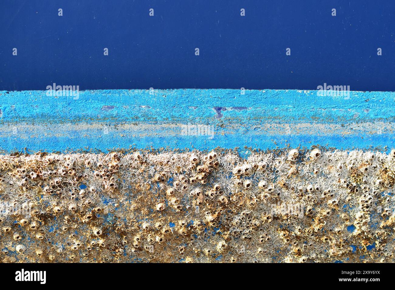 Natural sand colour texture of barnacle growth under the waterline on ...