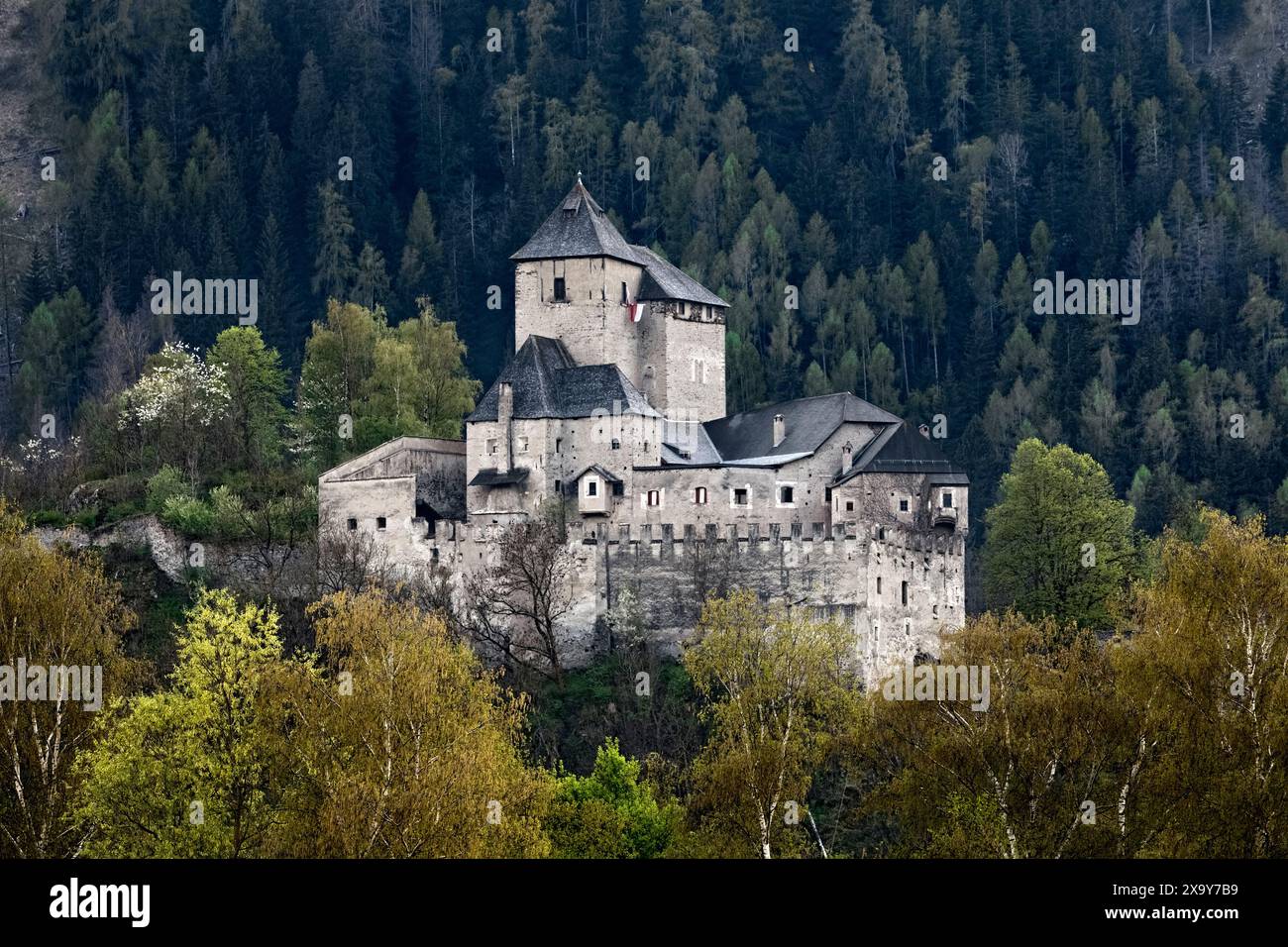Tasso Castle (Burg Reifenstein): one of the most famous medieval ...