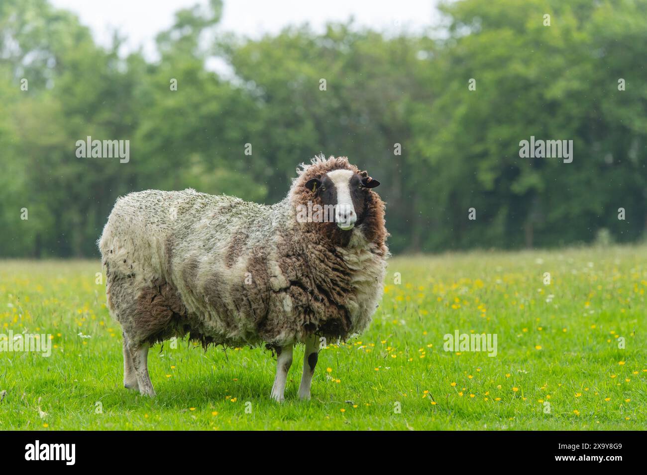 Hebridean view hi-res stock photography and images - Alamy