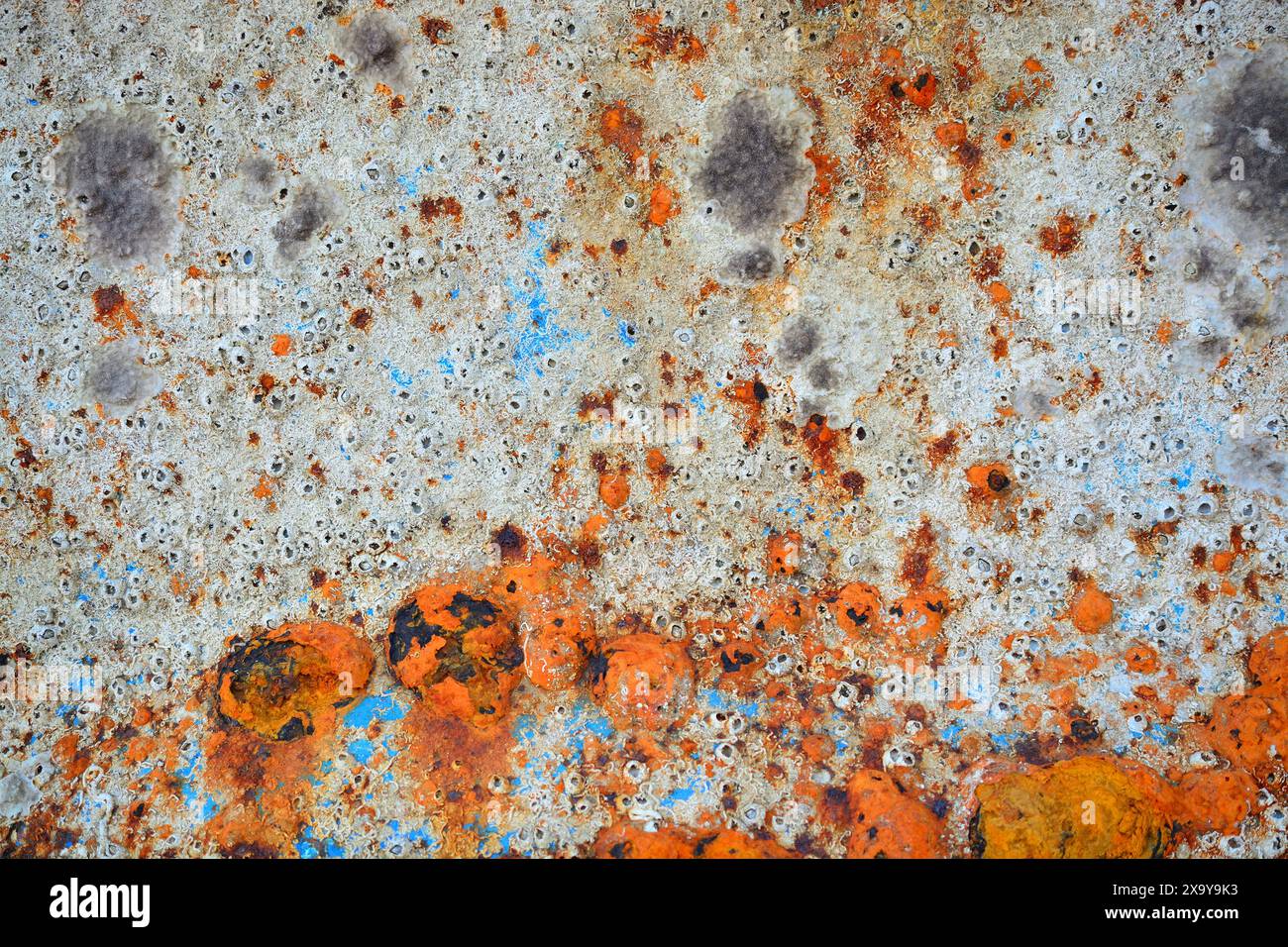 Natural texture of barnacle growth under the waterline on the blue hull ...