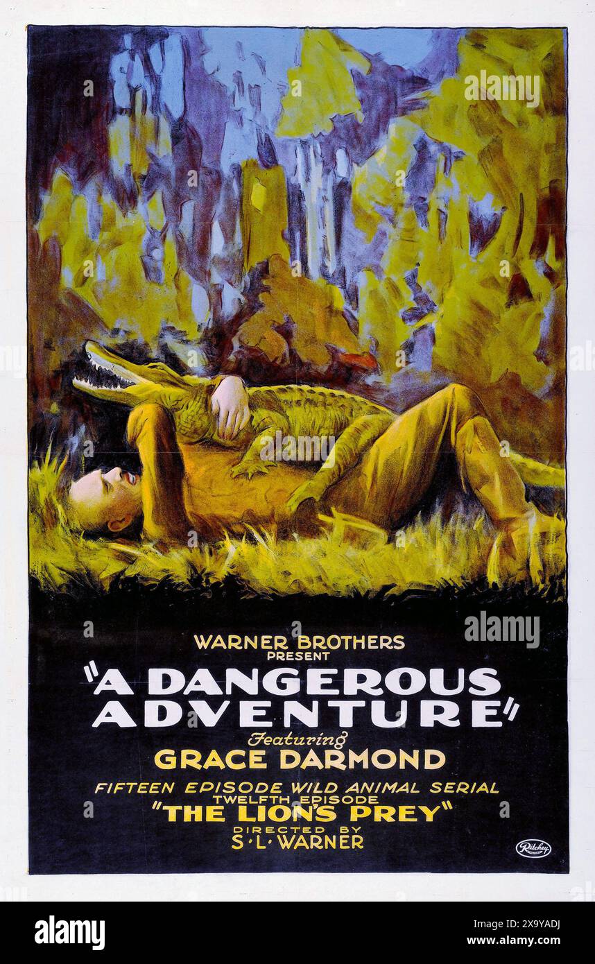 Old film poster - A Dangerous Adventure feat Grace Darmond (Warner ...