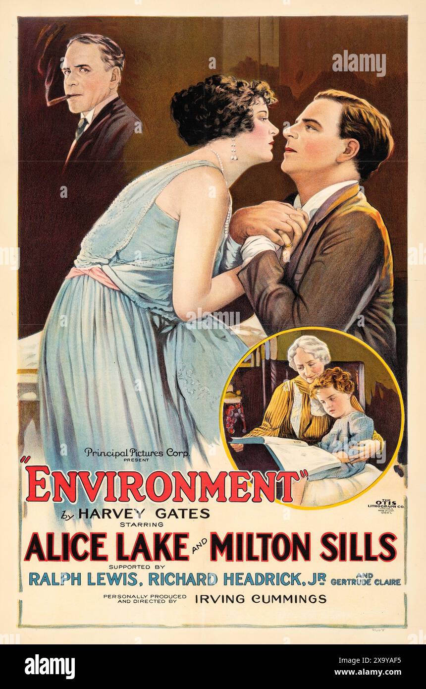 Old film poster - Environment (Principal Distributing, 1922) Style B ...