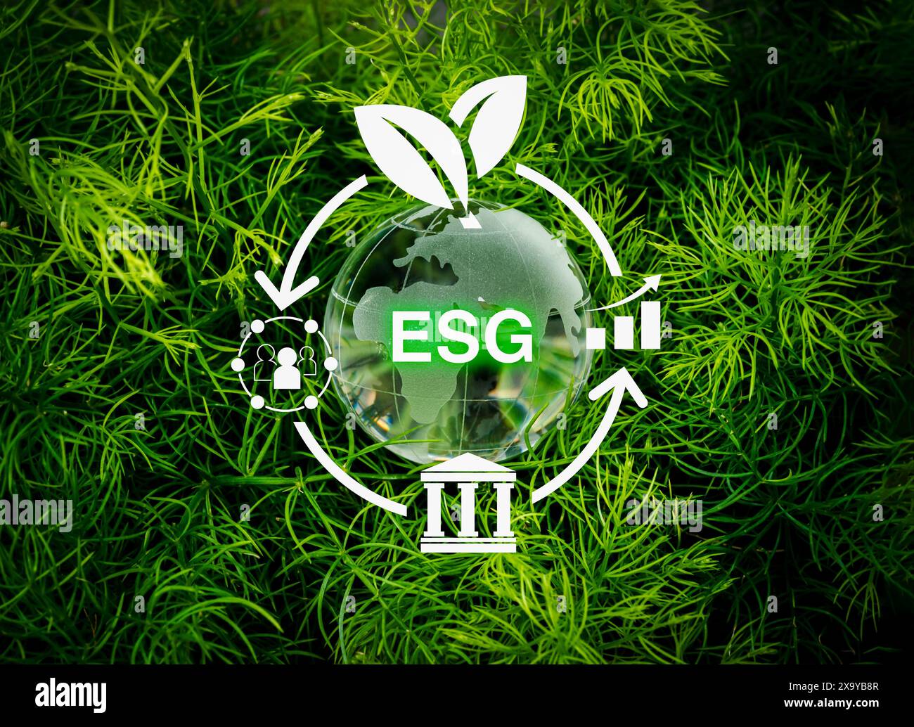 Environmental, social, and corporate governance, business target and ...